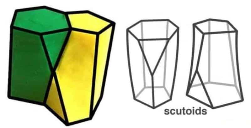 Yeni Bir Geometrik Şekil "Scutoid" - Mühendis Beyinler