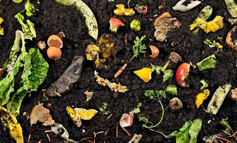 Kompost Nasıl Yapılır - Mühendis Beyinler