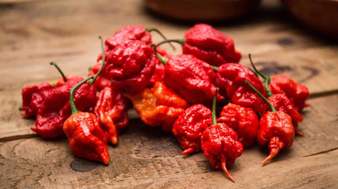 Dünyanın En Acı Biberi - Mühendis Beyinler