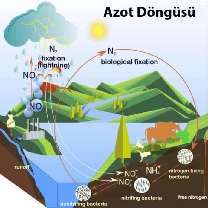 Azot Nedir ve Azotun Özellikleri - Mühendis Beyinler