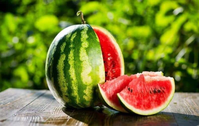 Dünyada Karpuz Çeşitleri ve Türkiye'de Karpuz Çeşitleri - Mühendis Beyinler